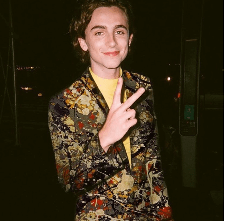 8 Fun Facts About Timothée Chalamet You Didn't Know - SHEESH!